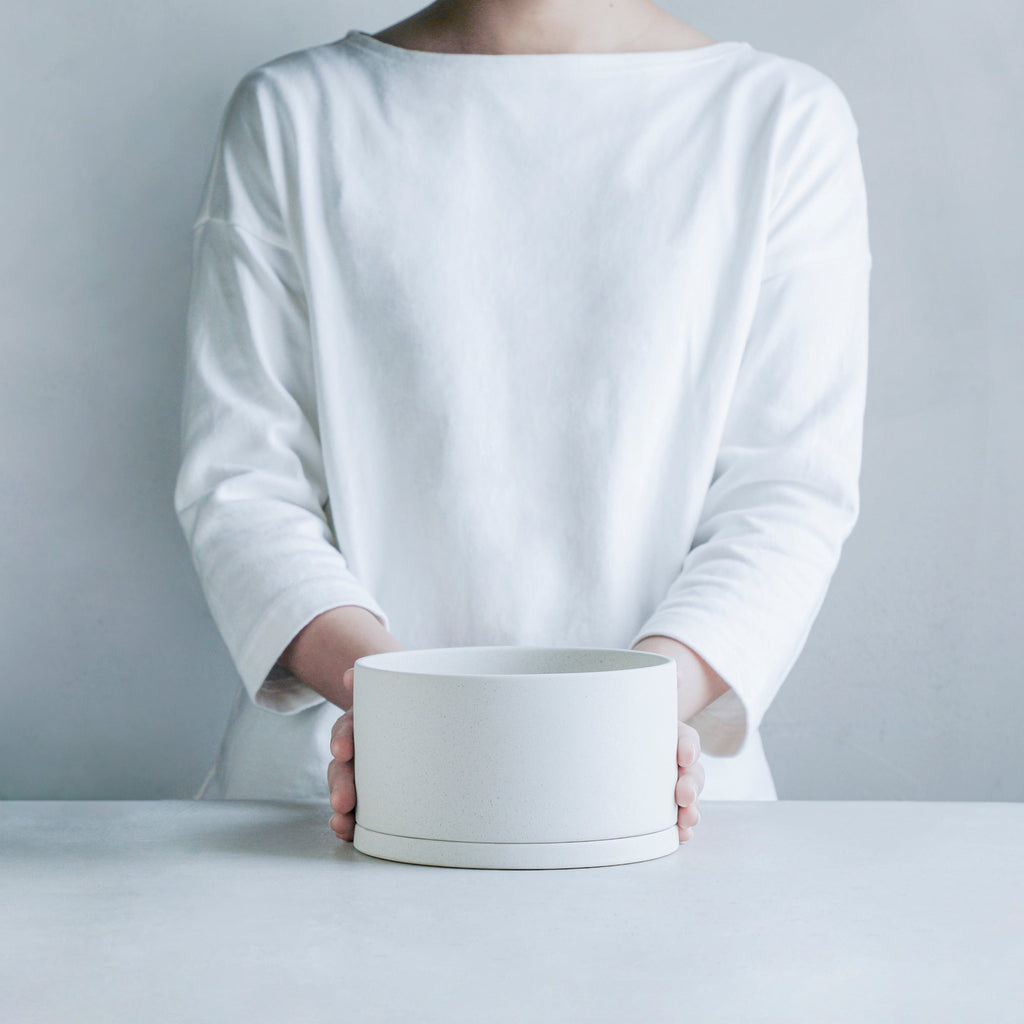 観葉植物 植え替えセット 191 – MOLLIS