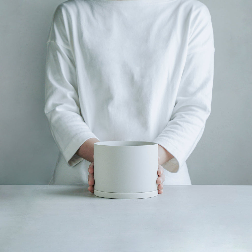 多肉植物・サボテン 植え替えセット 191 – MOLLIS